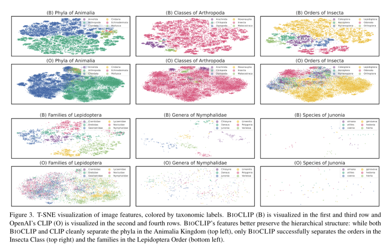 Everything About CVPR 2025